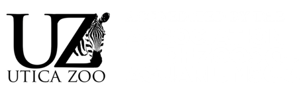 Beaversprite – Utica Zoo