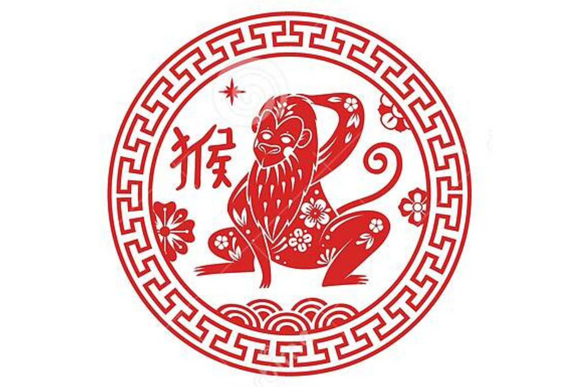 ZOOdiac Monkey – Utica Zoo