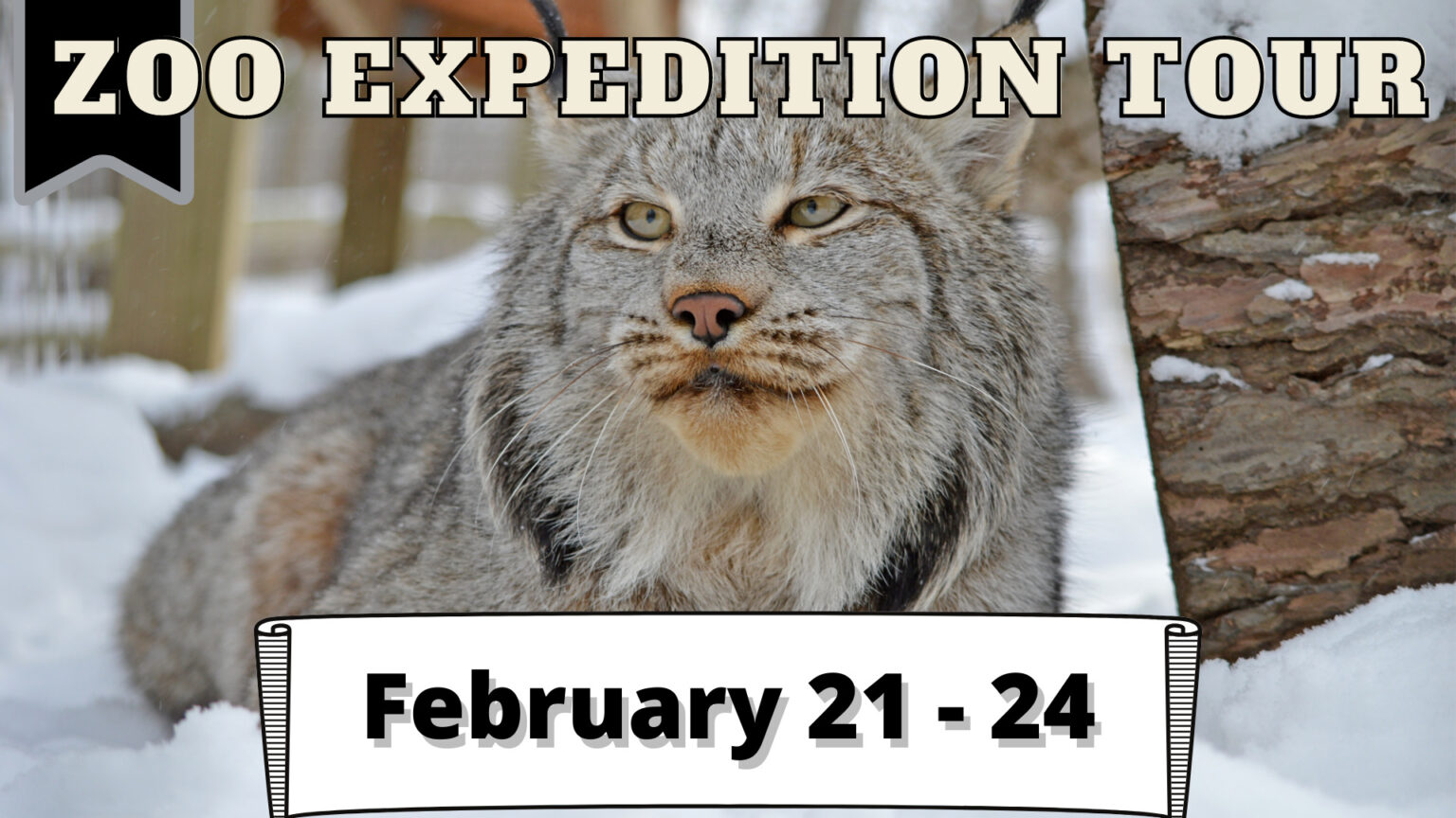 Zoo Expedition – Utica Zoo