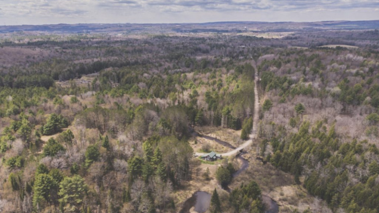 Beaversprite – Utica Zoo