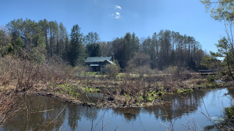 Beaversprite – Utica Zoo