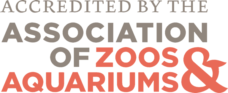 AZA Accreditation – Utica Zoo