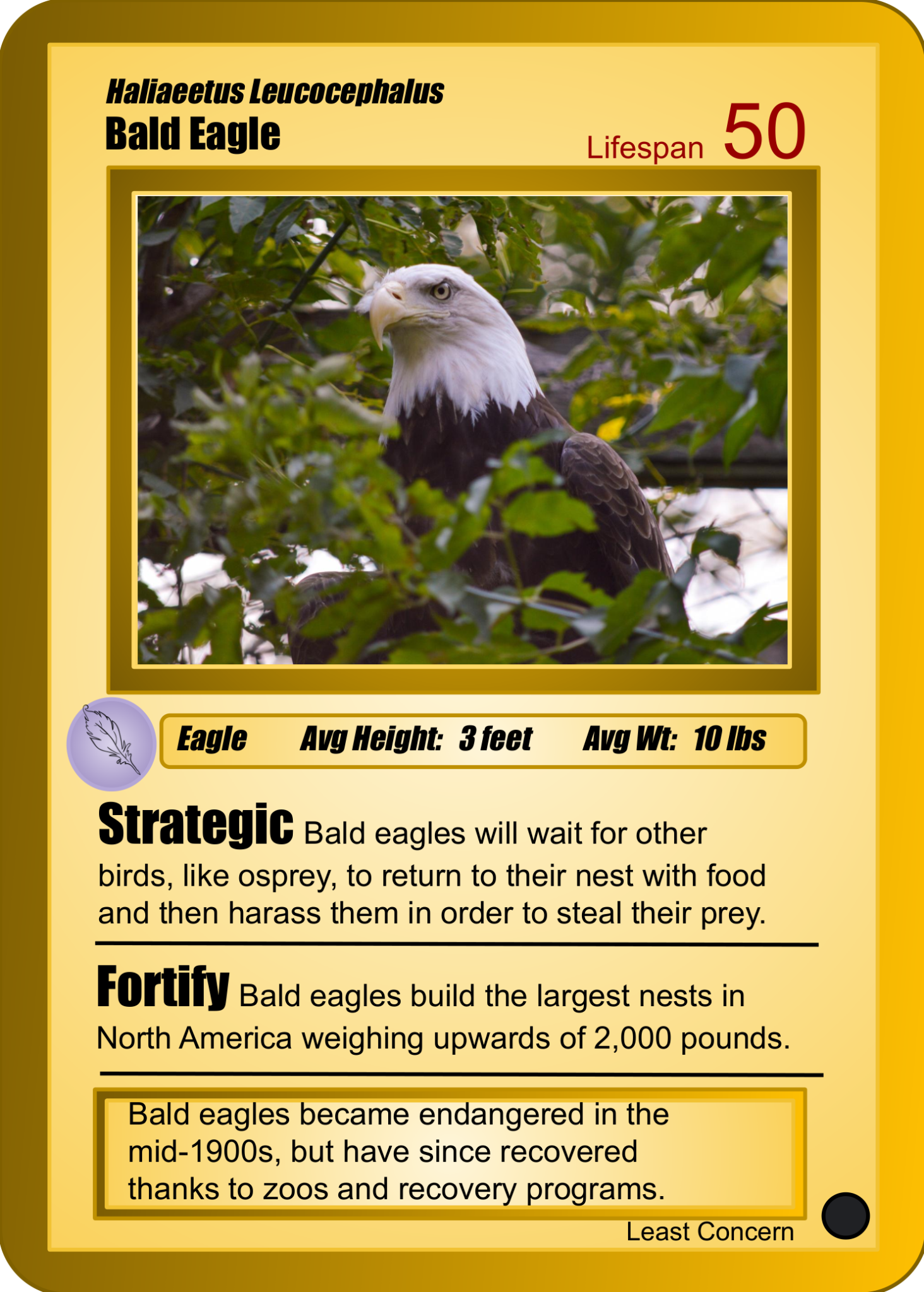 Pokémon GO Community Day – Utica Zoo