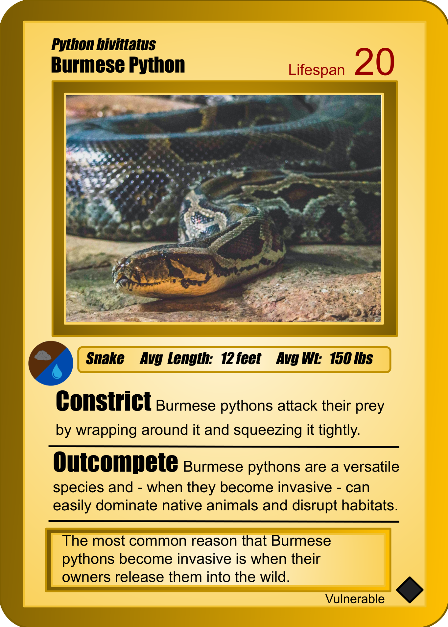 Pokémon GO Community Day – Utica Zoo