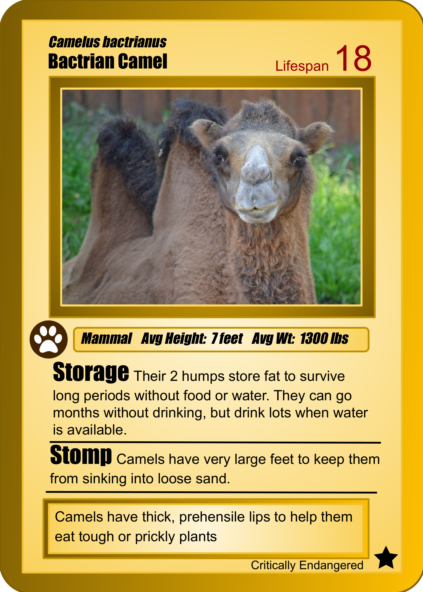 Pokémon GO Community Day – Utica Zoo