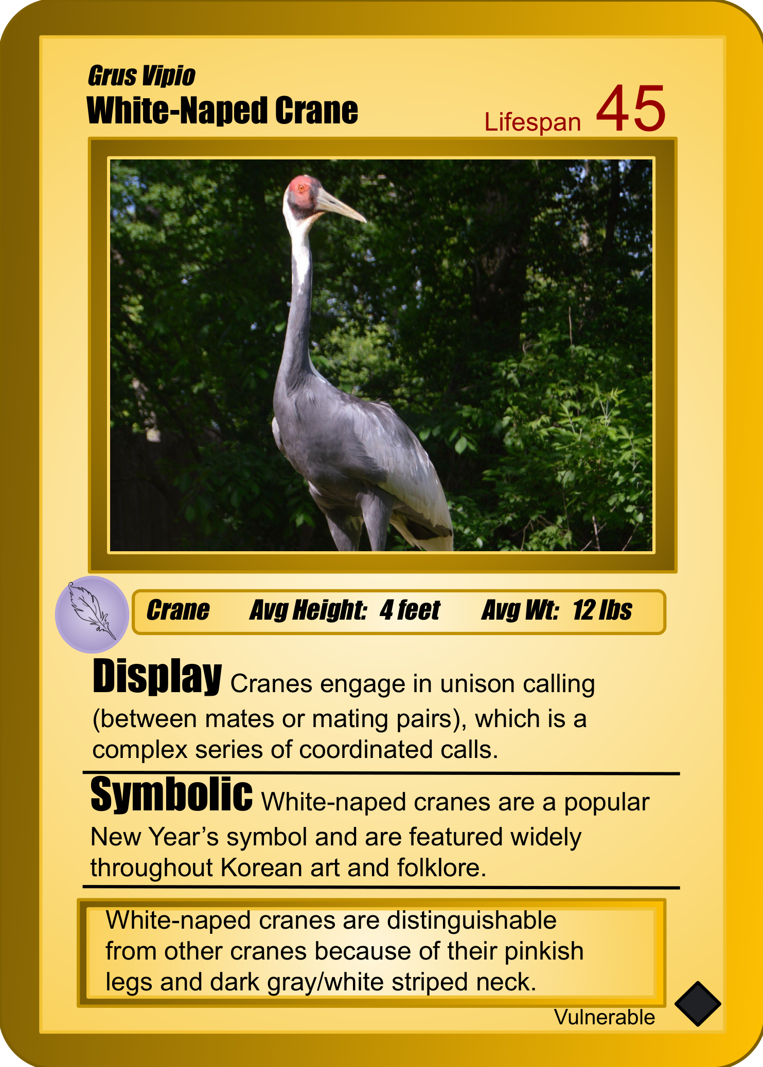 Pokémon GO Community Day – Utica Zoo