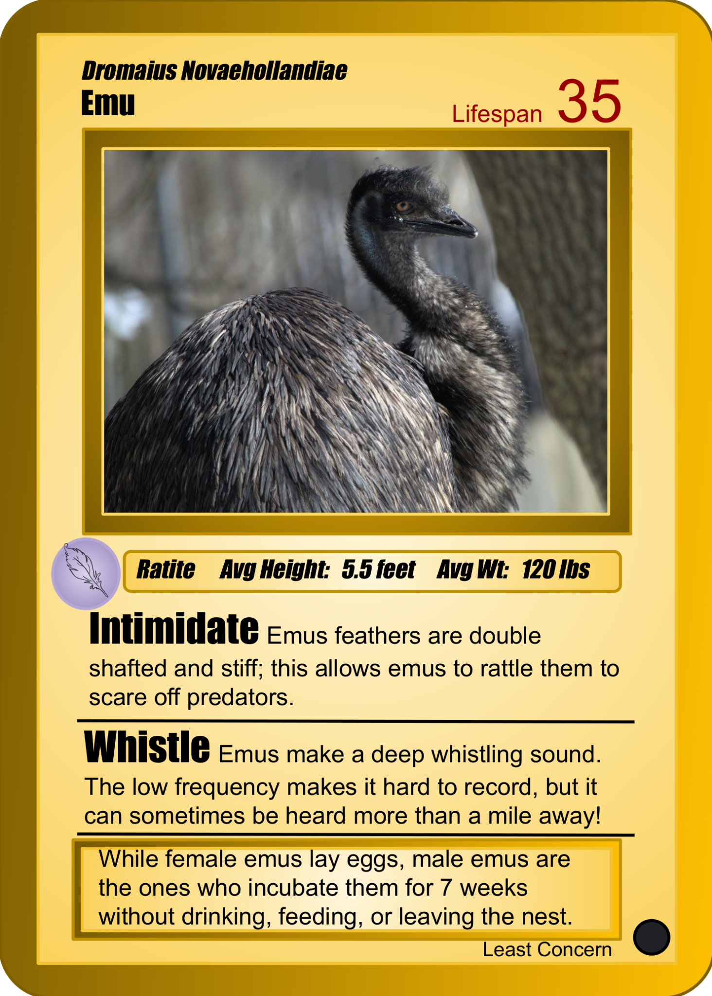 Pokémon GO Community Day – Utica Zoo