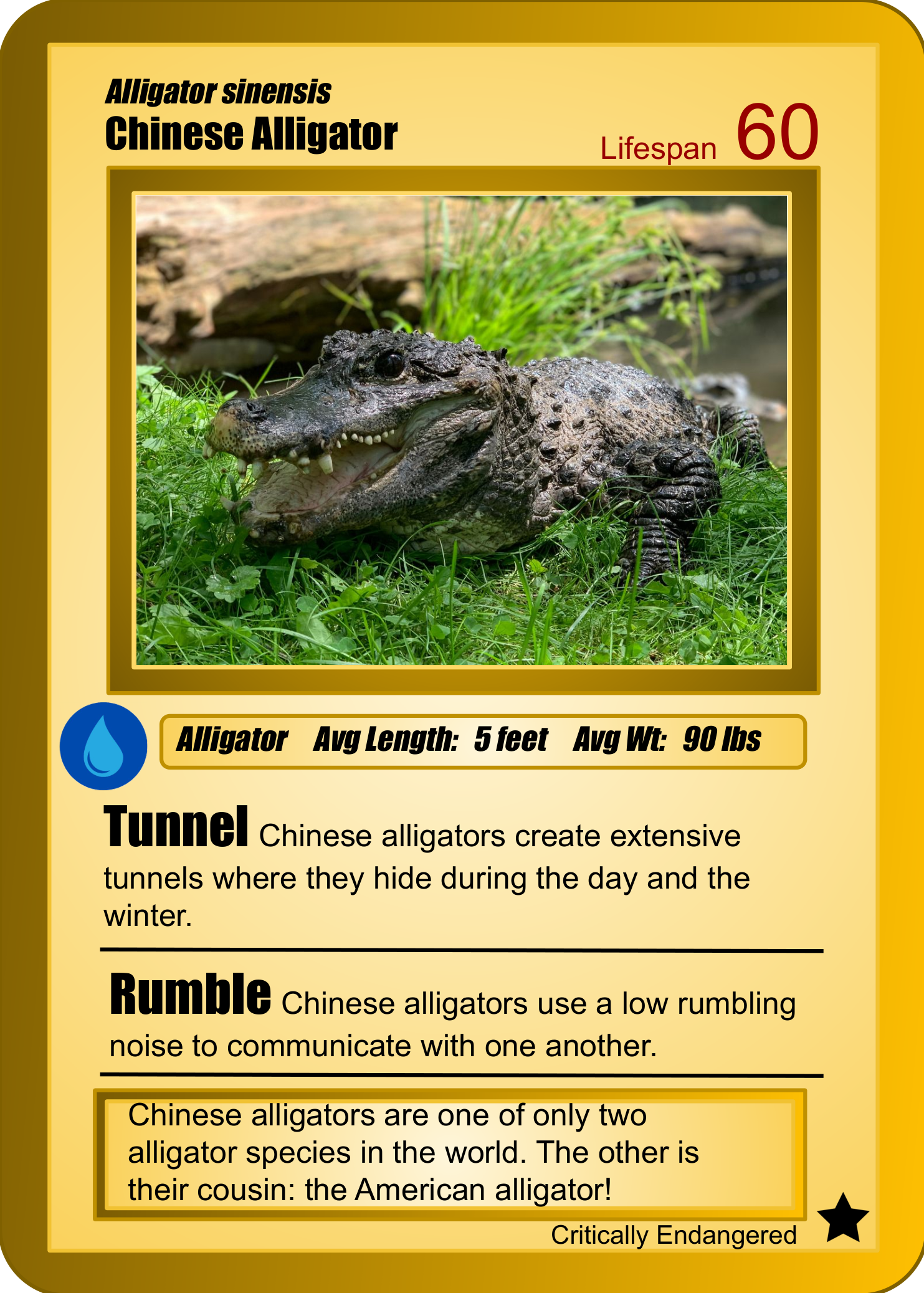 Pokémon GO Community Day – Utica Zoo