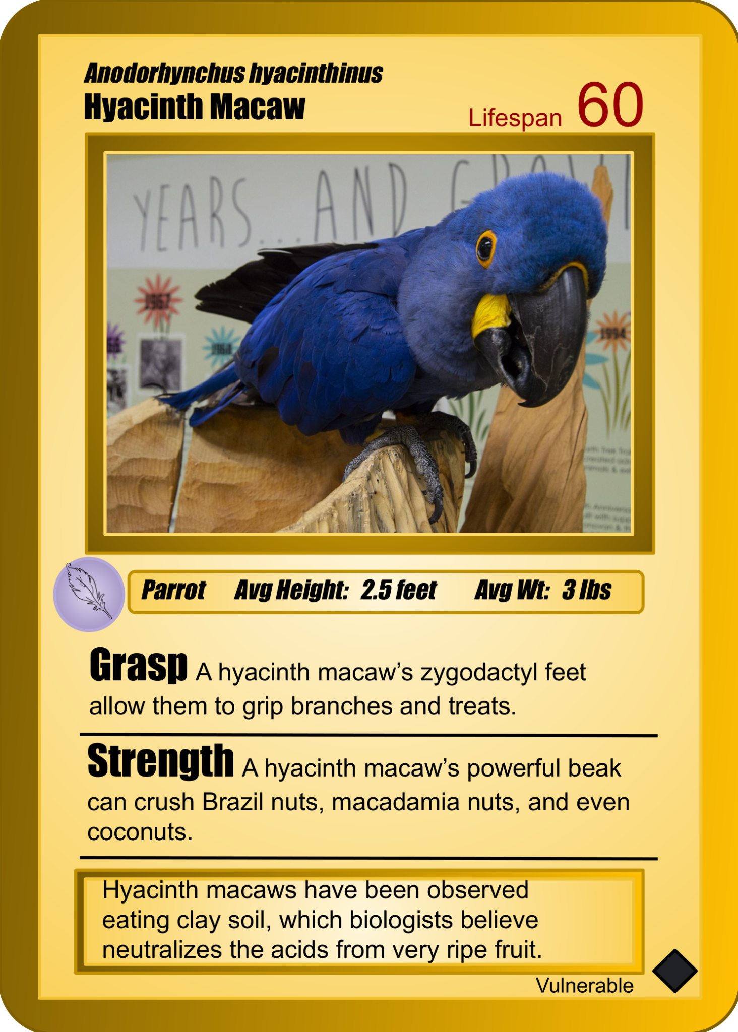 Pokémon GO Community Day – Utica Zoo