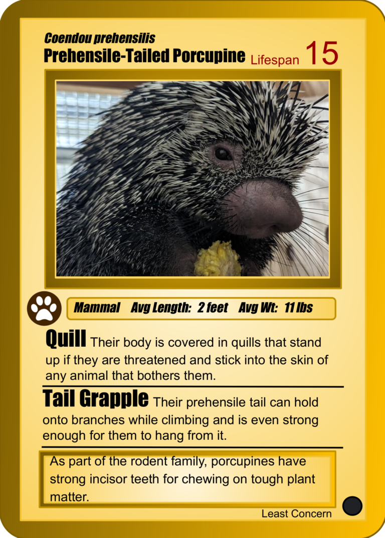 Pokémon GO Community Day – Utica Zoo