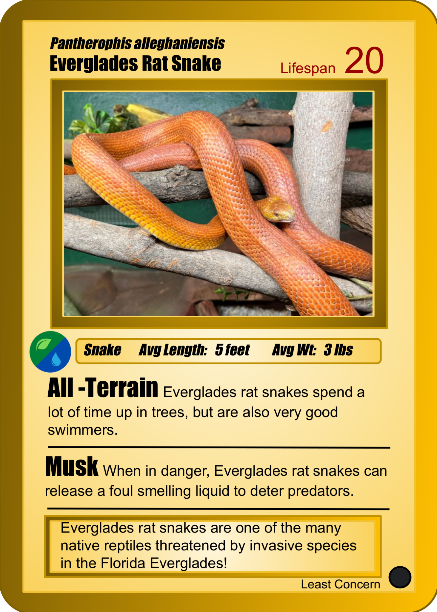 Pokémon GO Community Day – Utica Zoo