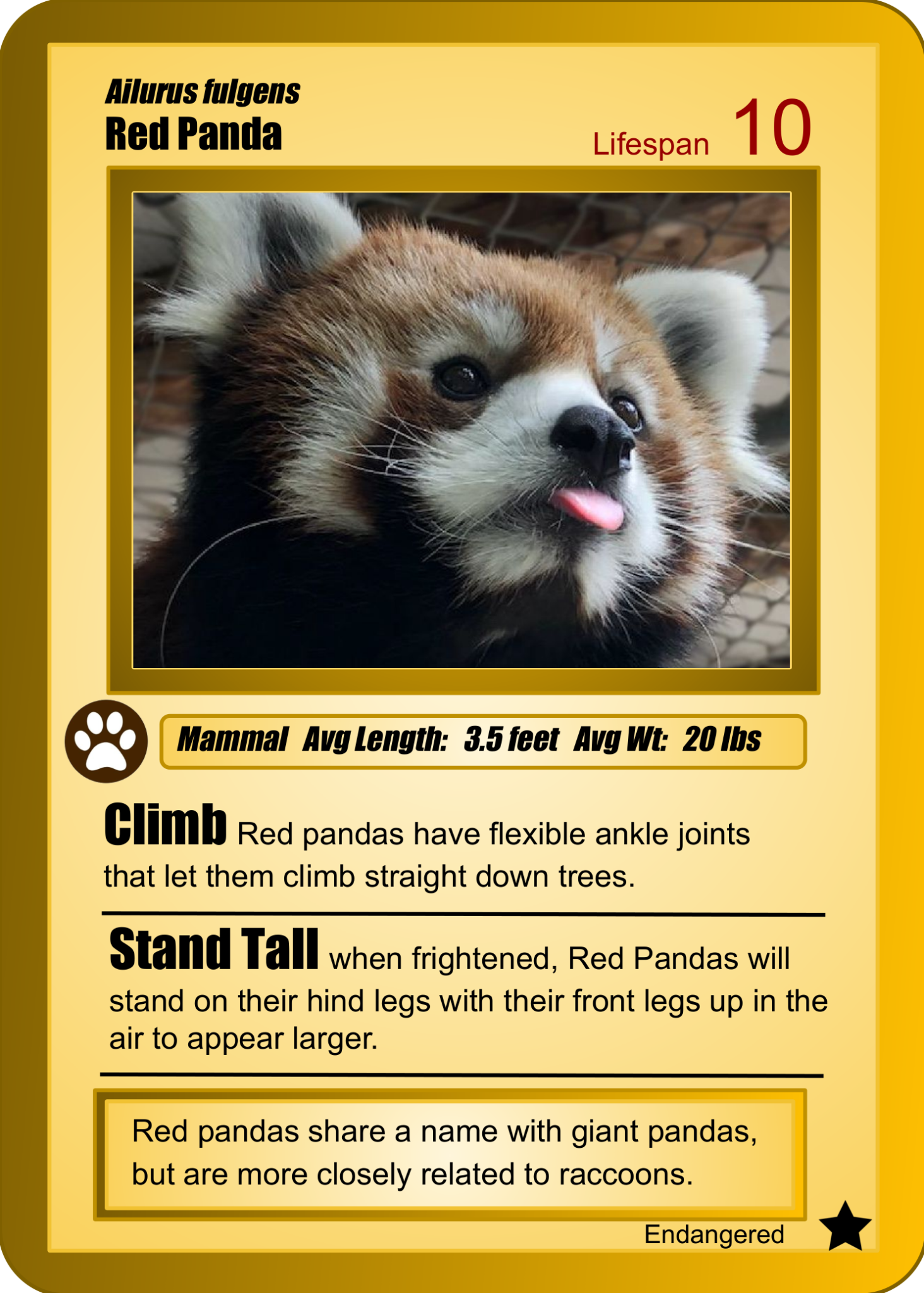 Pokémon GO Community Day – Utica Zoo