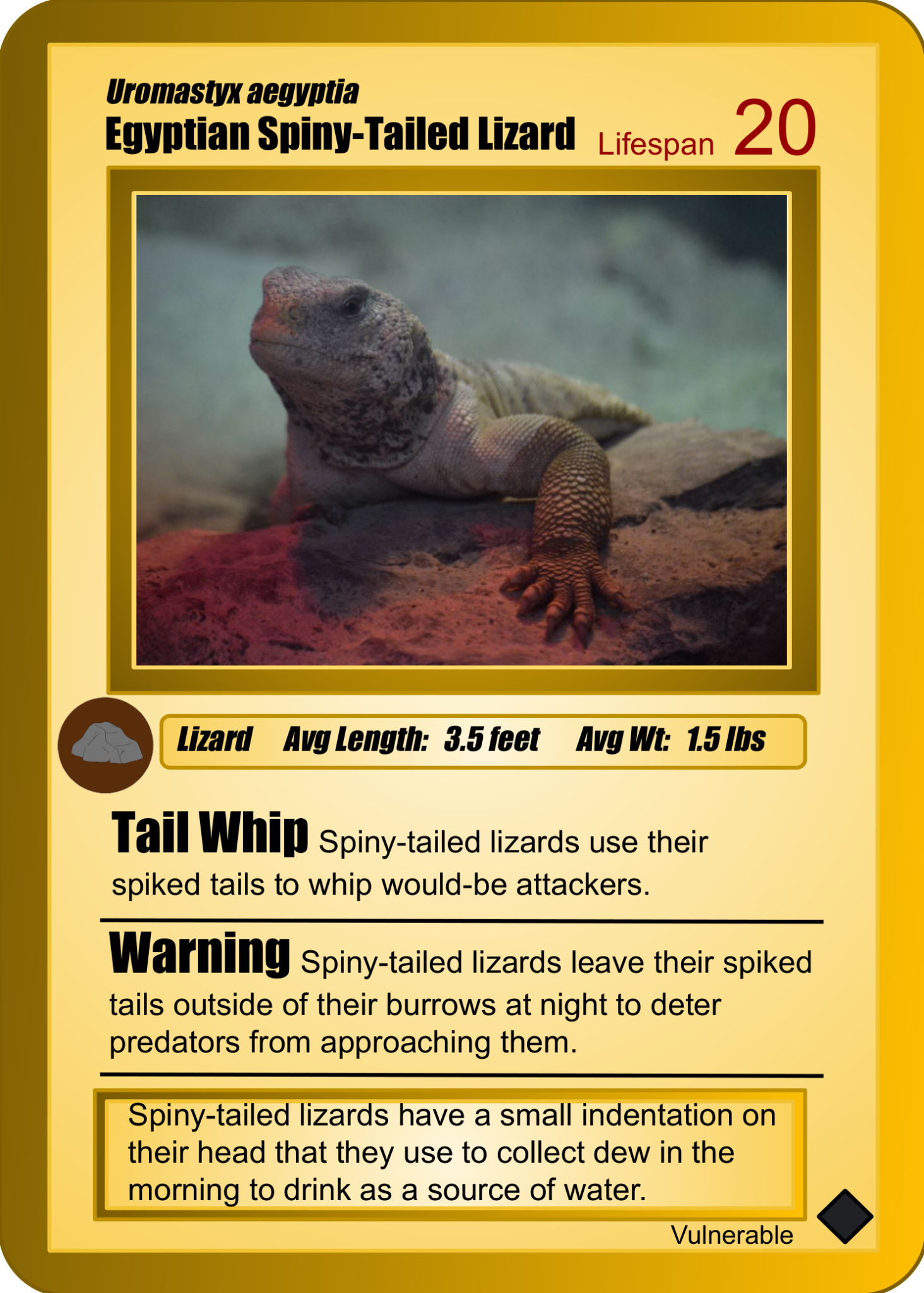 Pokémon GO Community Day – Utica Zoo