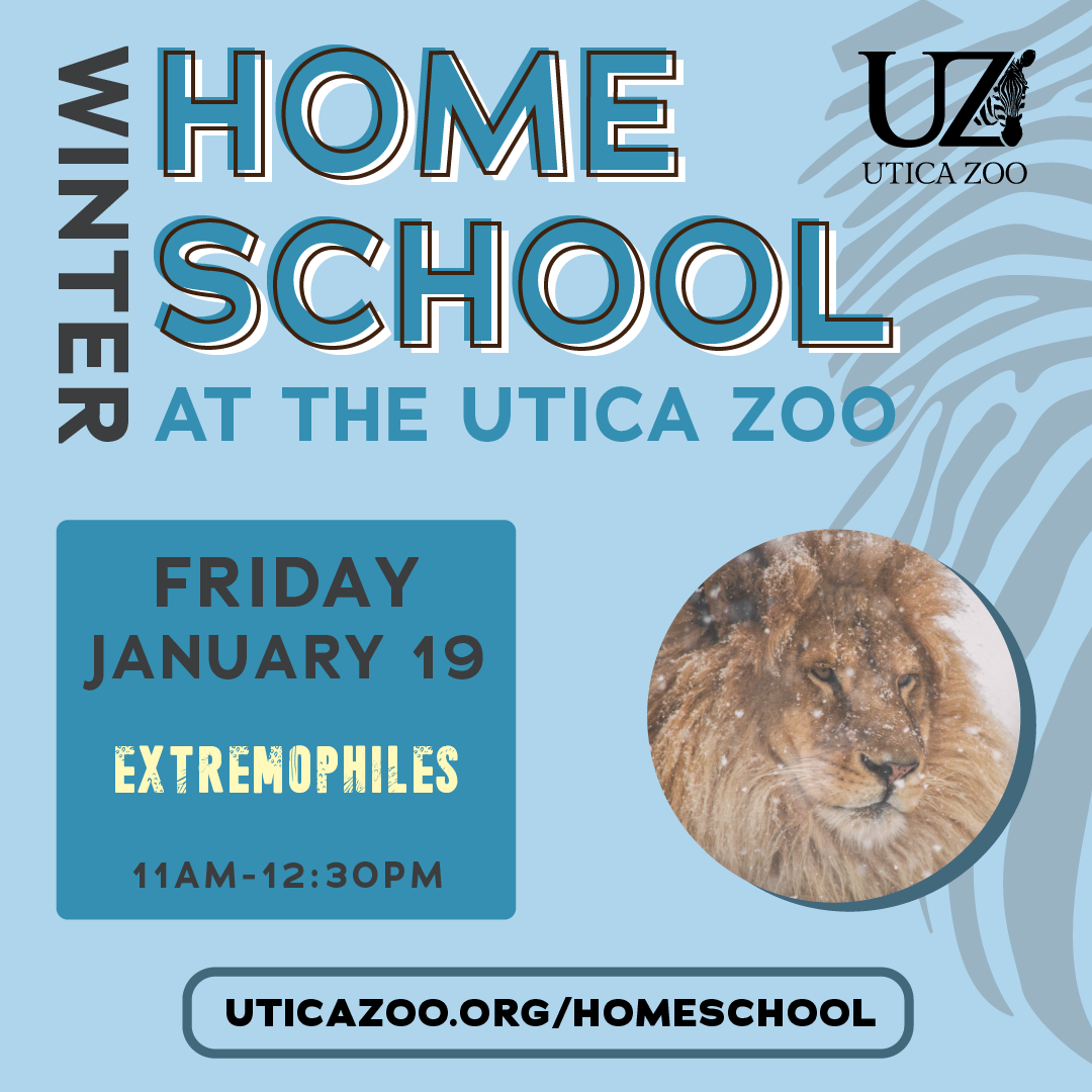 Home School 1-19-24 – Utica Zoo
