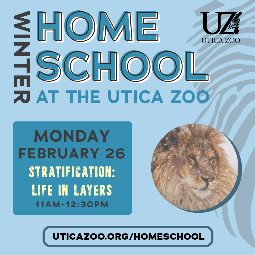 Home School 2-26-24 – Utica Zoo