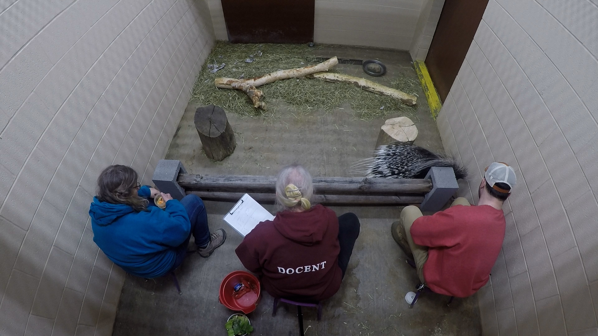 Joan and Joey-6 – Utica Zoo