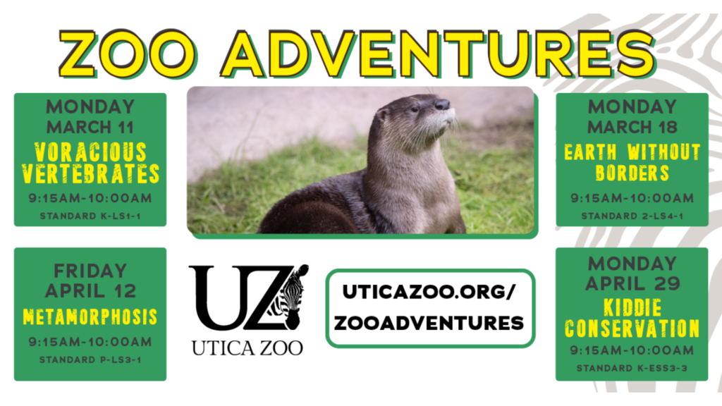 Spring Zoo Adventures Slider – Utica Zoo