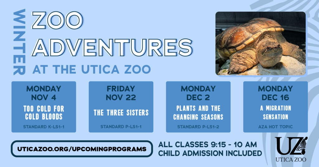 Winter Zoo Adventures Post 2024-01 – Utica Zoo