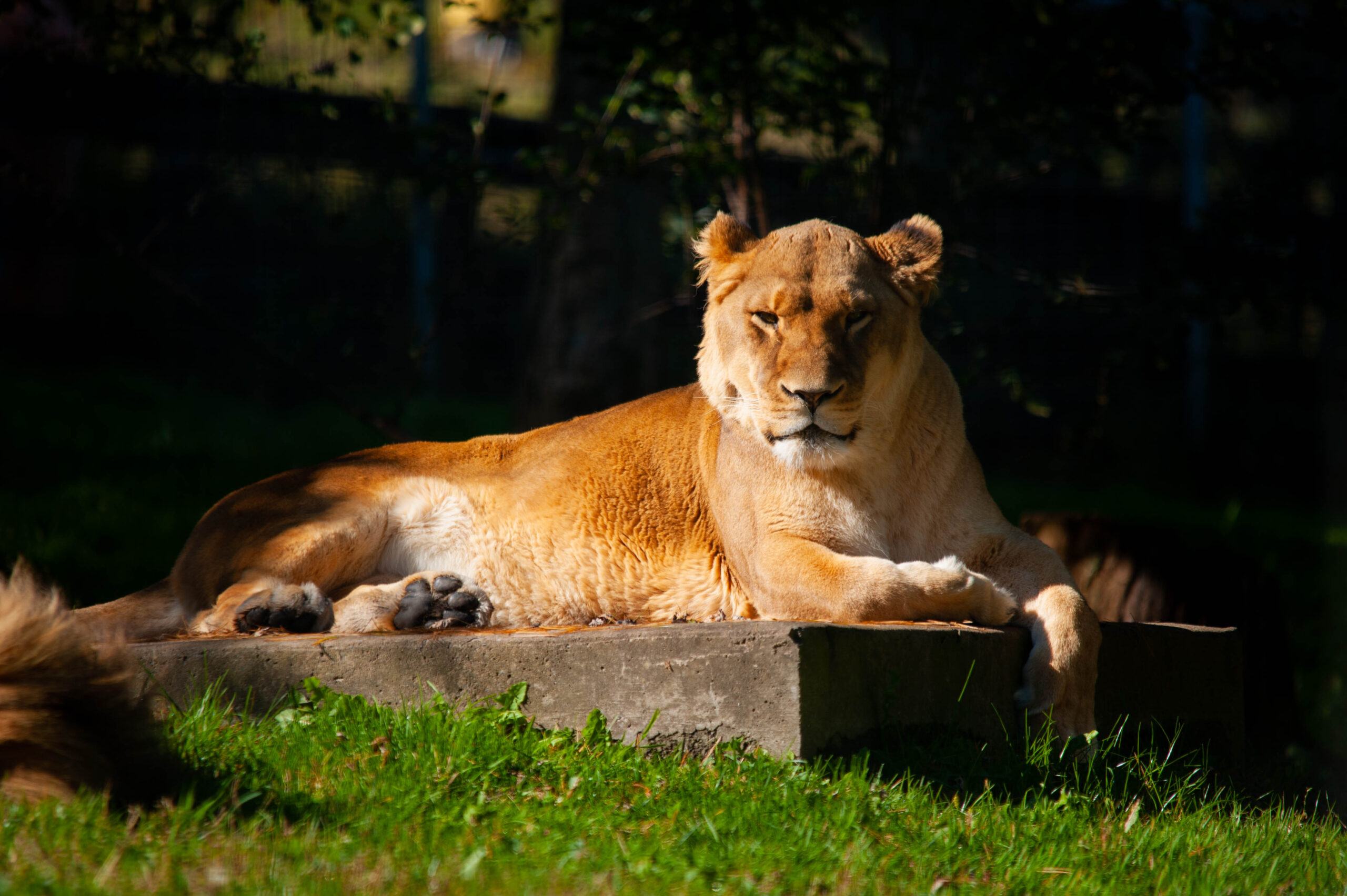 DSD_7584 – Utica Zoo