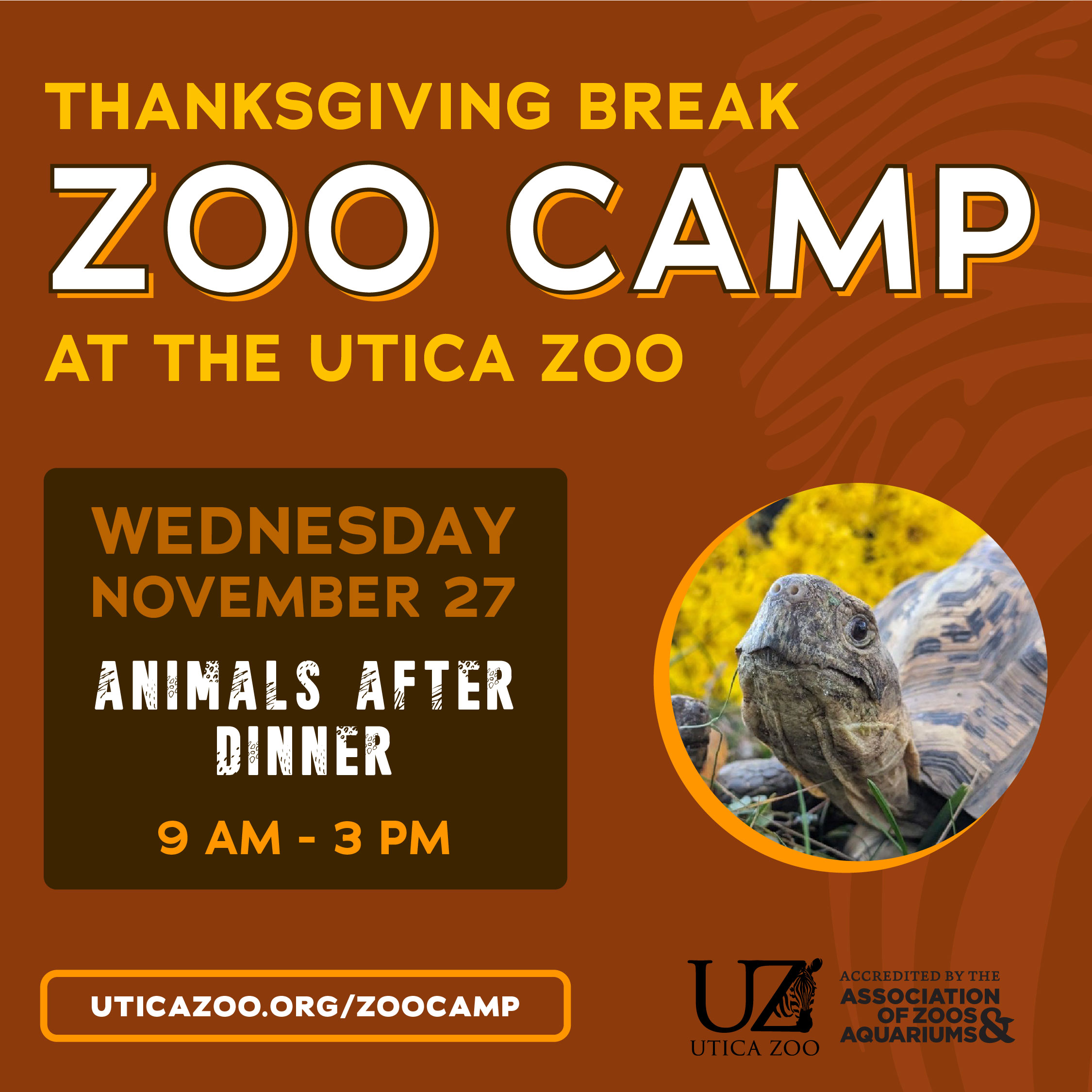 Day Zoo Camp – Thanksgiving Break-01 – Utica Zoo