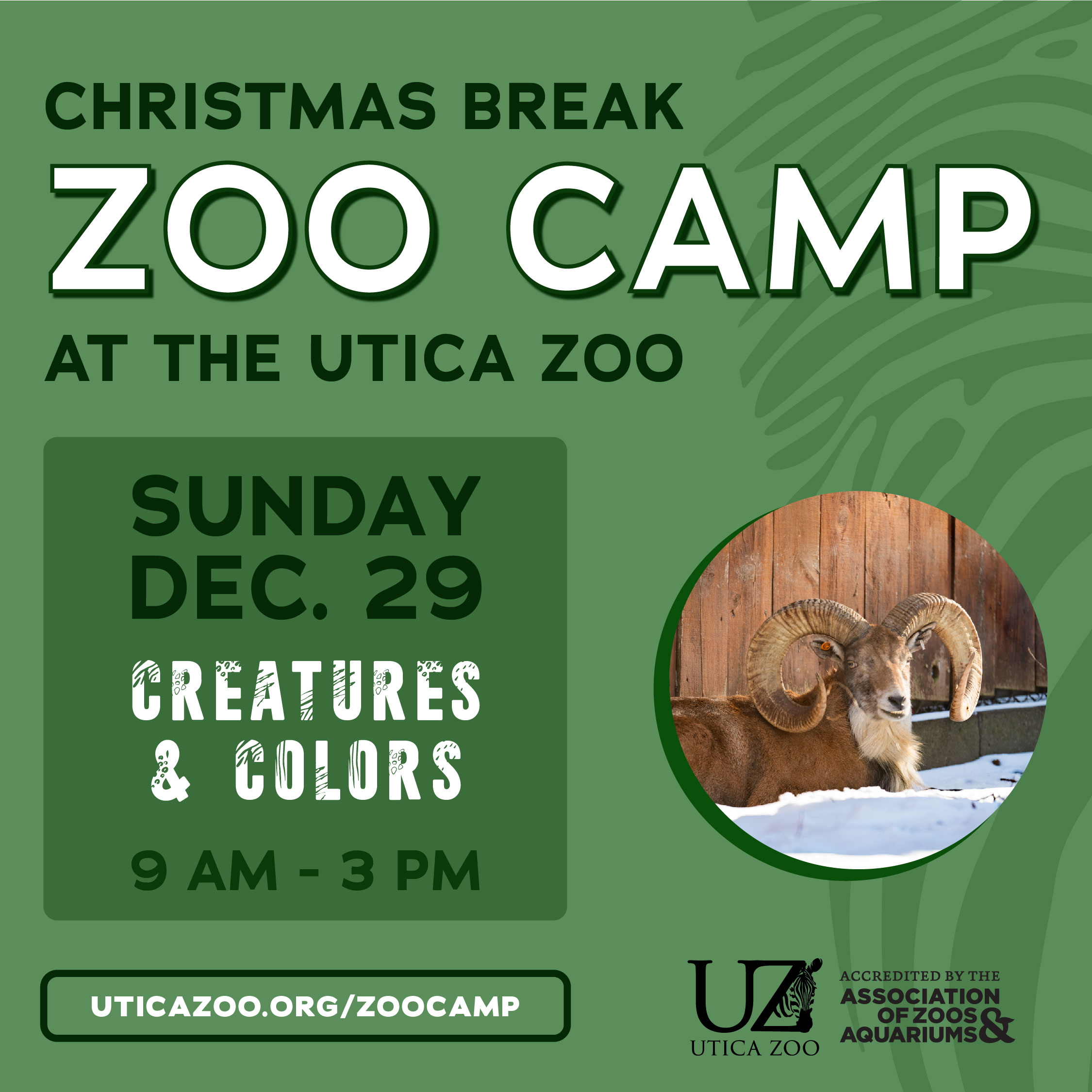 Zoo Camp – Social Post – Christmas Break 2024-01 – Utica Zoo