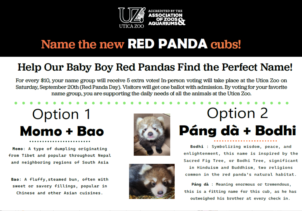 Red Panda Naming Contest – Utica Zoo